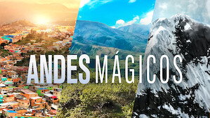 Mejores documentales | Sitio oficial de Netflix